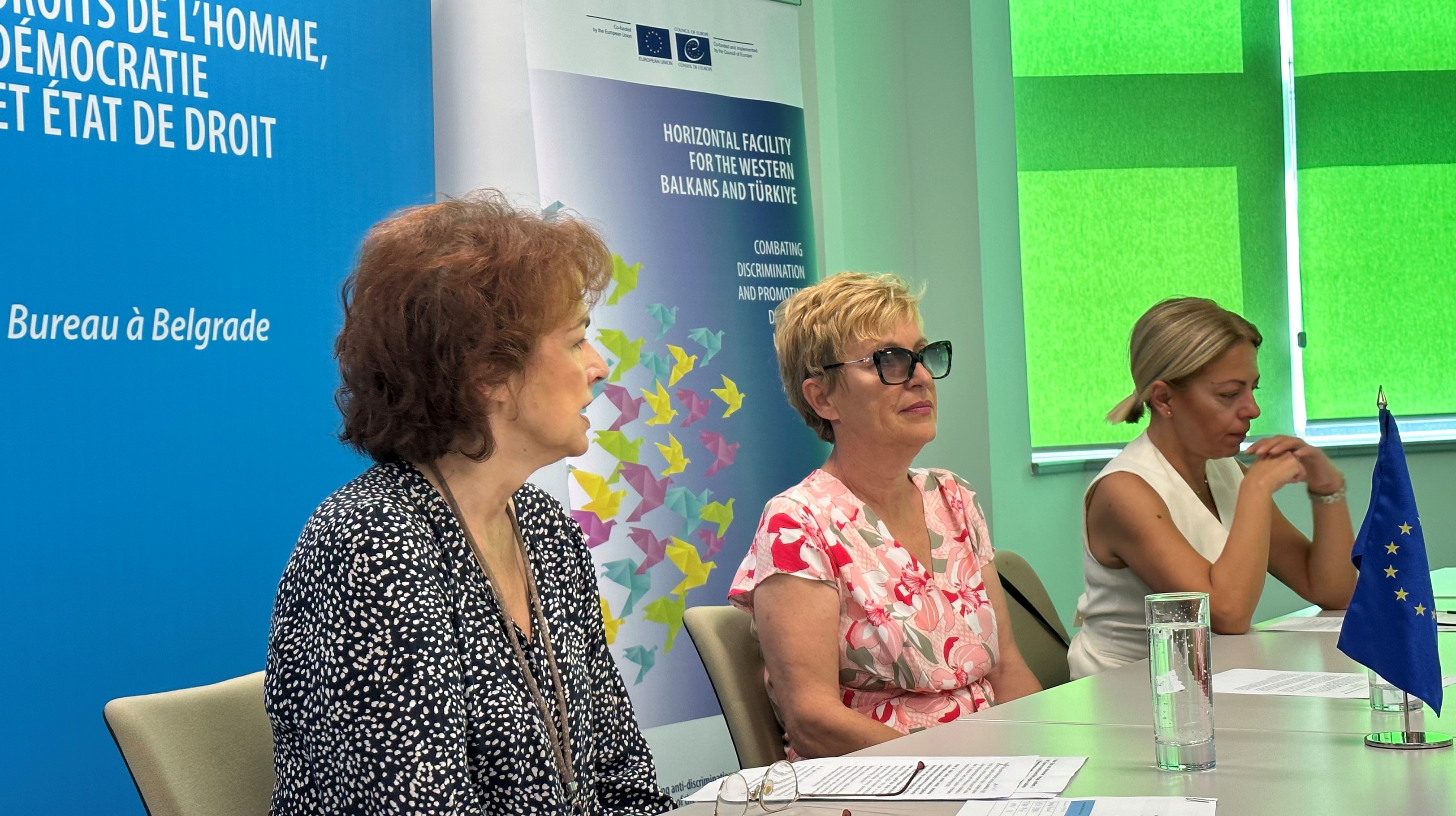 EU/CoE Joint Programme Horizontal Facility - Horizontal Facility