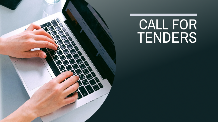 Call for tenders: Consultancy services under the action “Towards an ...