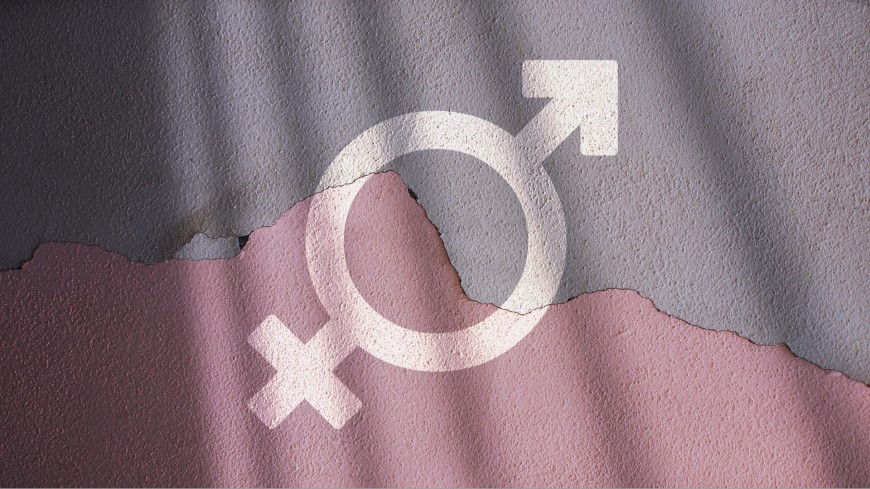 “Gender analysis in earthquake areas” now available online - Horizontal Facility